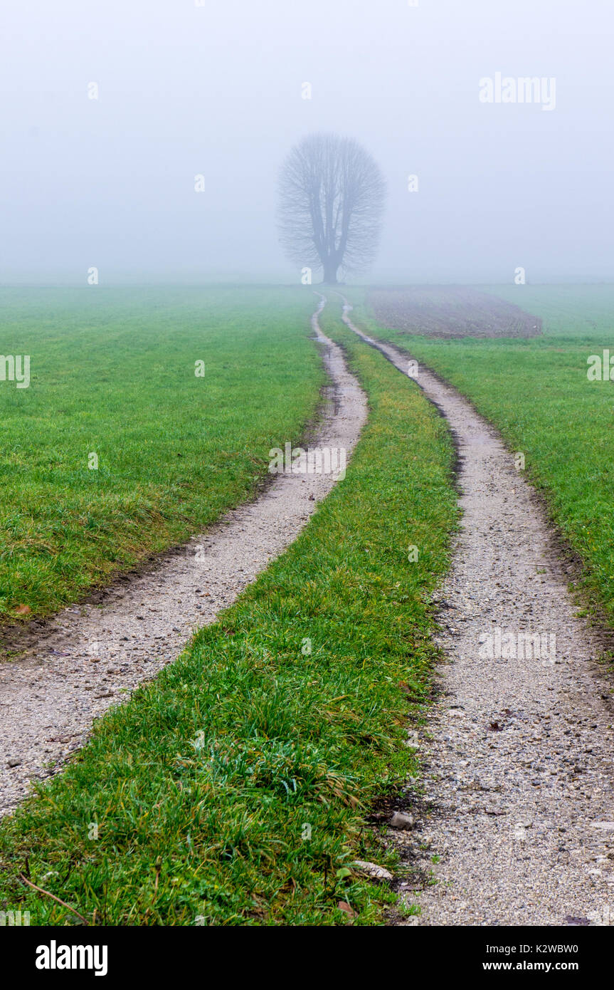 Rural gravel road on foggy morning Stock Photo - Alamy