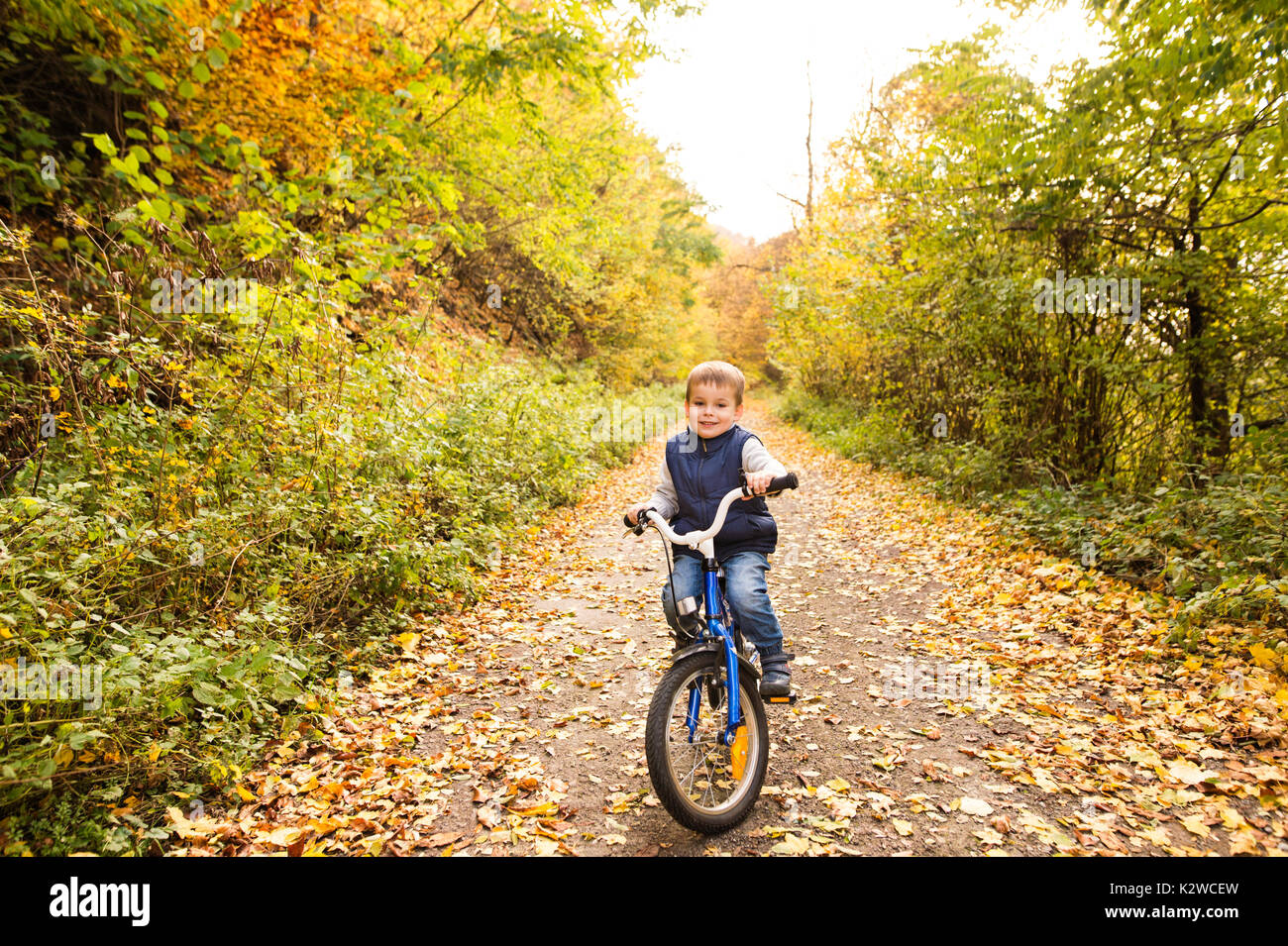 Boy cycling wood hi-res stock photography and images - Alamy