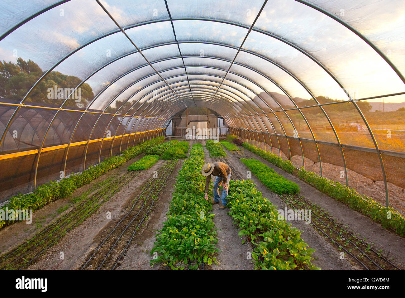 Blaine diffendafer hi-res stock photography and images - Alamy