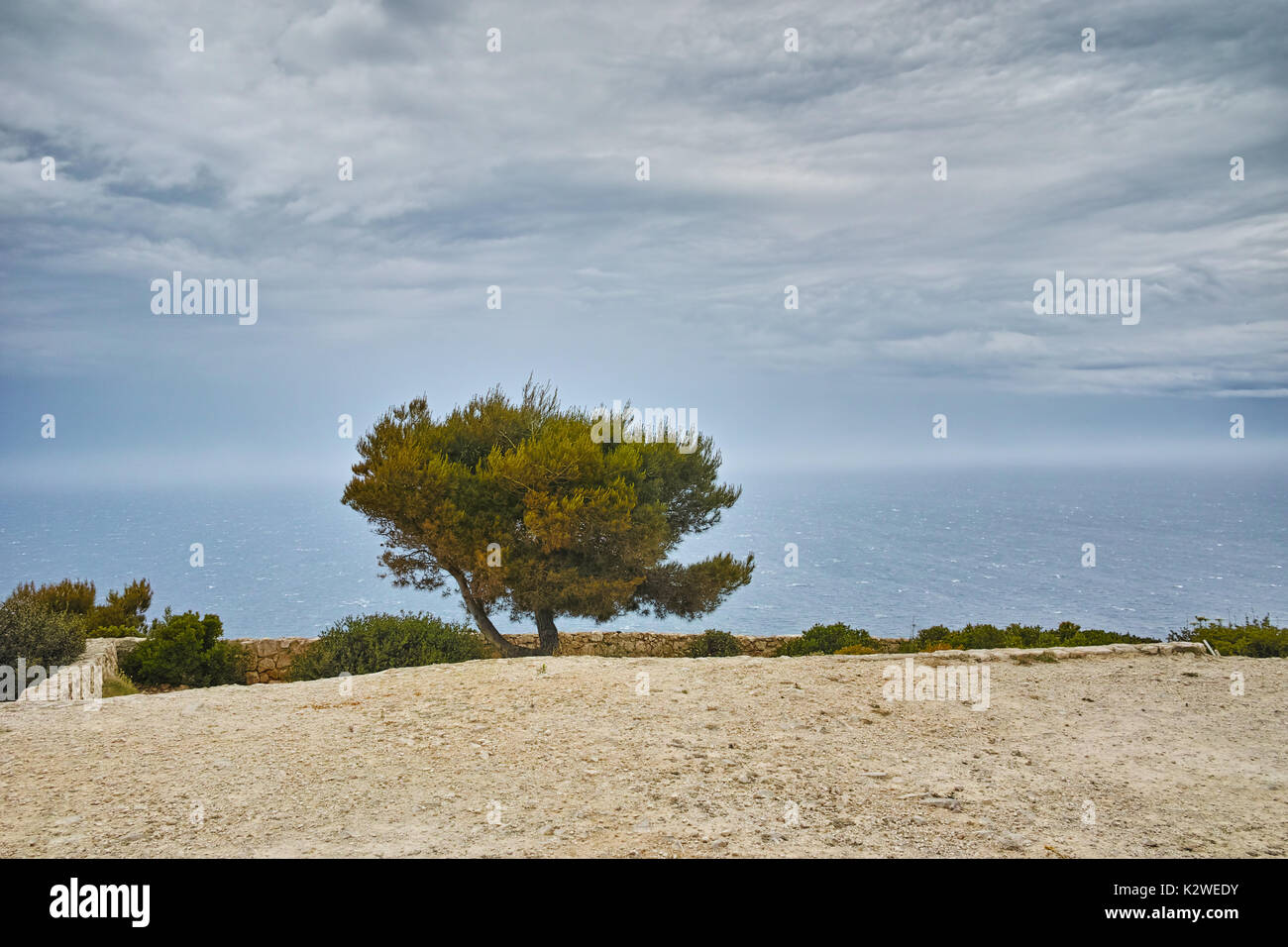 Amazing Panorama with tree at Zakynthos island, Greece Stock Photo - Alamy