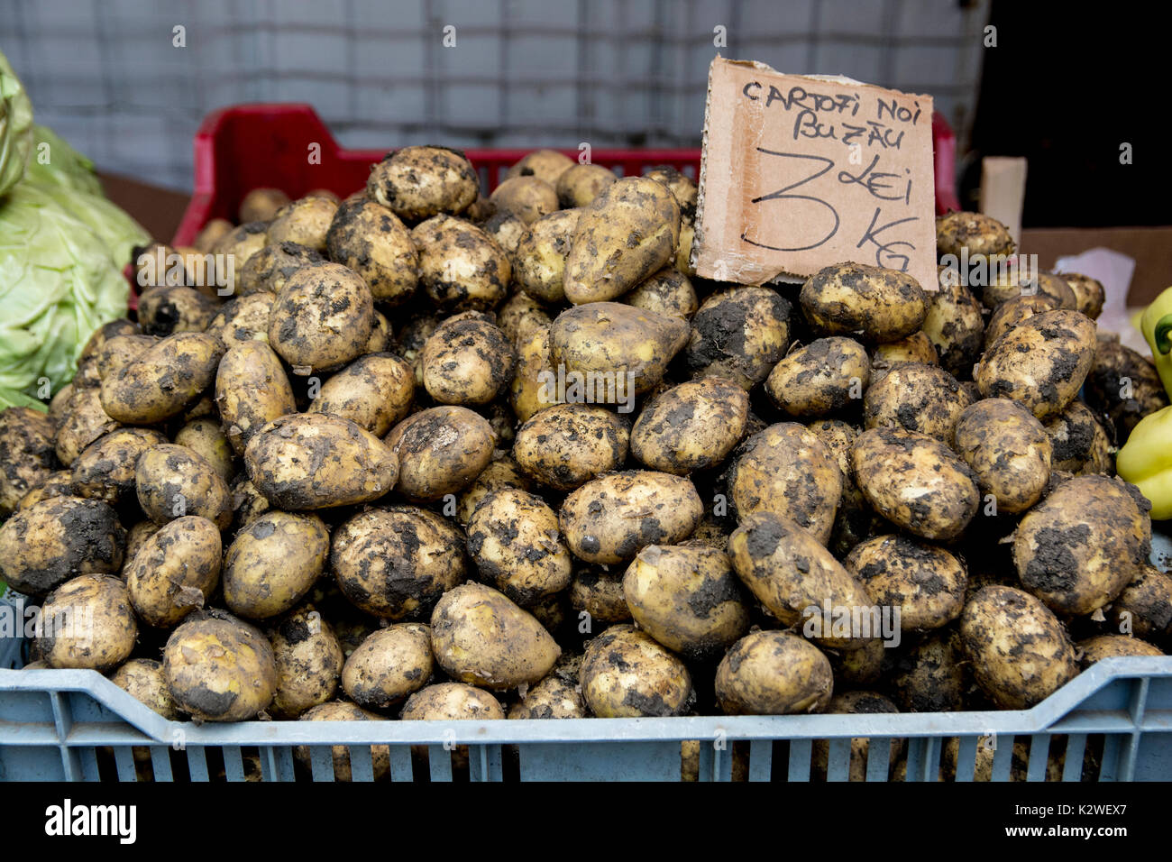Mud splatter hi-res stock photography and images - Alamy