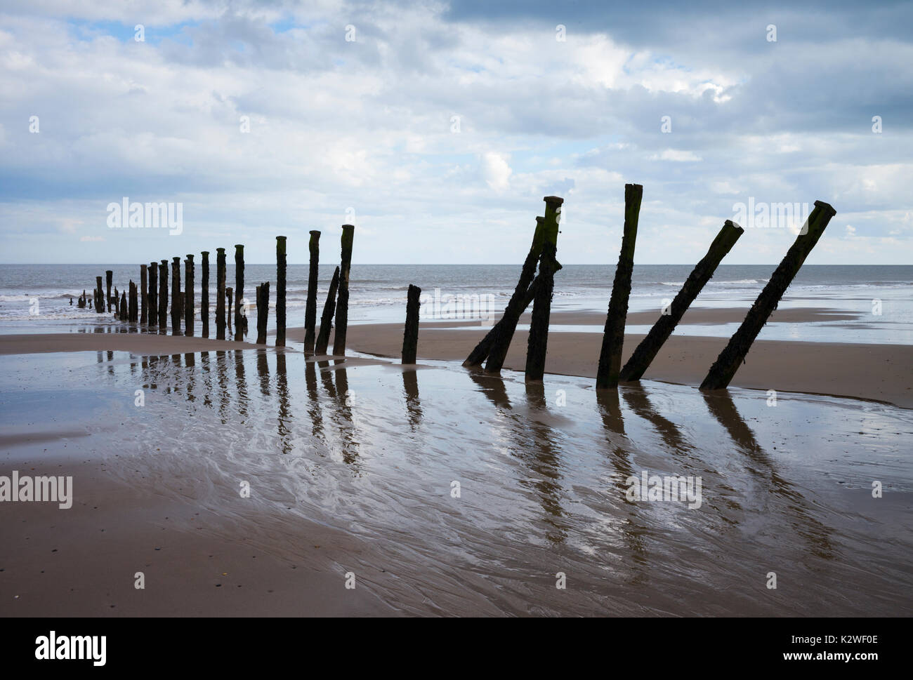 The remains of wooden sea defences on the beach at Spurn Point in ...