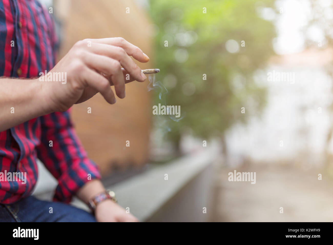 Close up of a human hand holding rolled up joint Stock Photo - Alamy