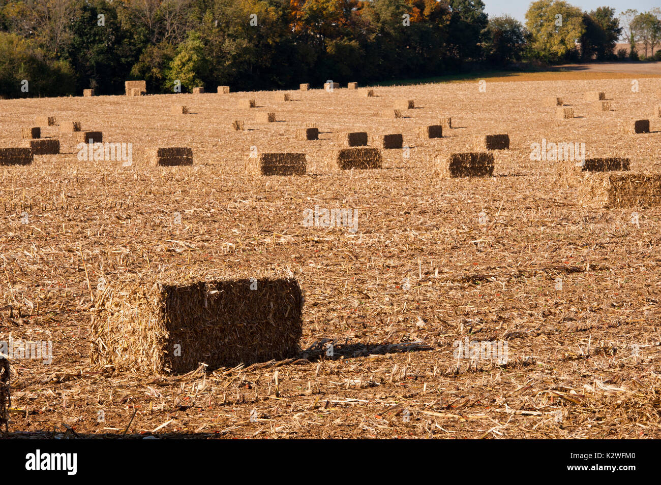 Square hay bales hi-res stock photography and images - Alamy