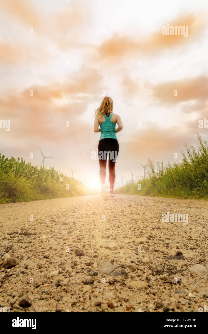 a young woman jogging along a rocky path, between corn fields in the ...