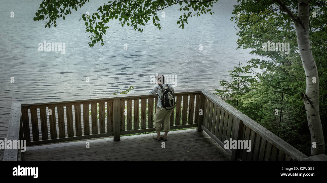 Hiker on viewing platform in Daly Point Nature Reserve looking over ...