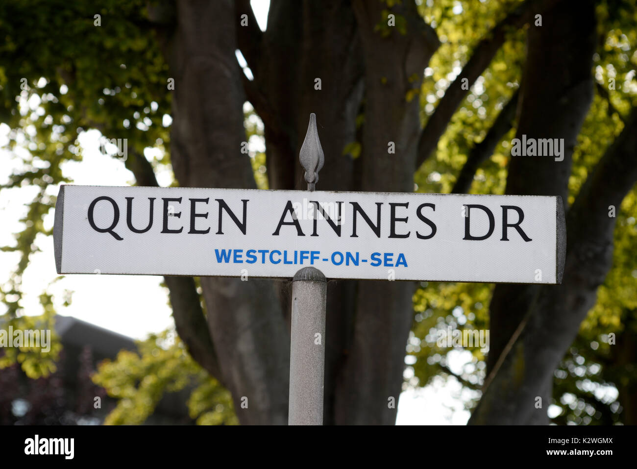 Queen annes drive hi-res stock photography and images - Alamy