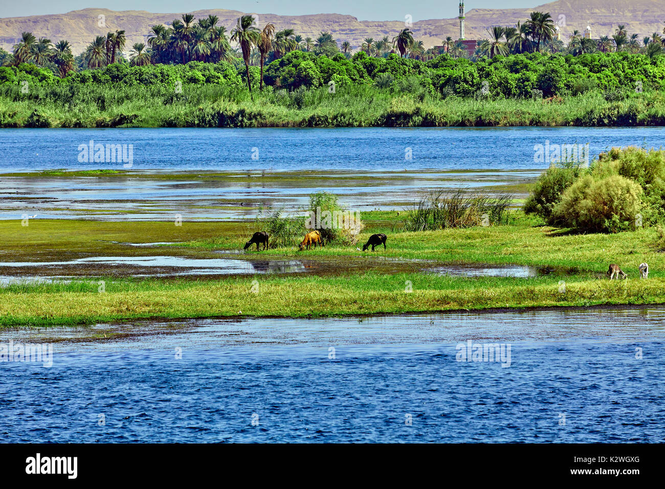 River Nile in Egypt. beautiful landscape Stock Photo - Alamy