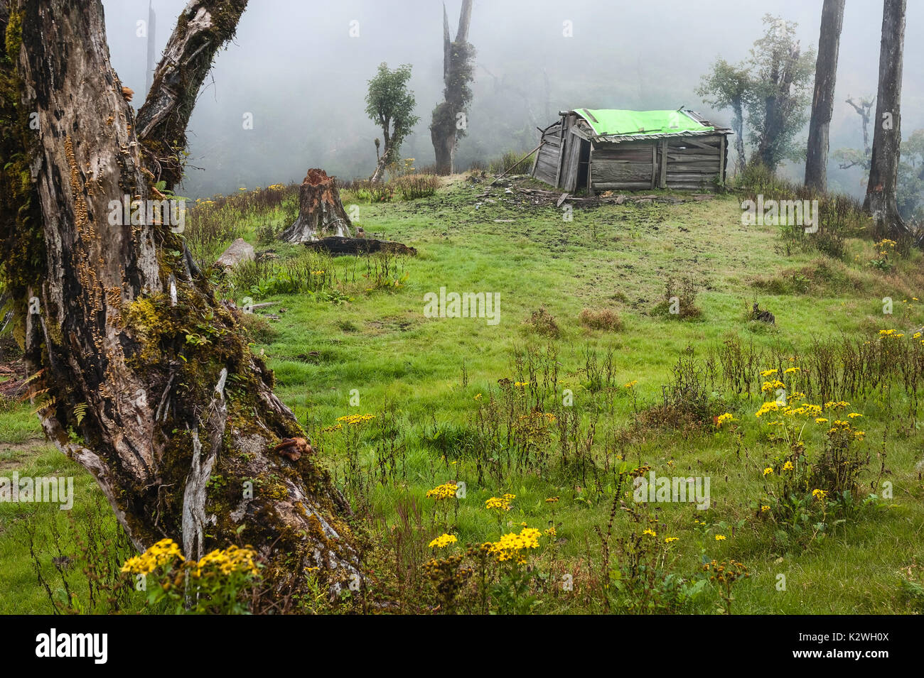 Indigenous cabin hi-res stock photography and images - Alamy