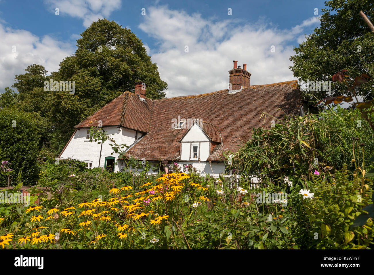 River hamble country park hi-res stock photography and images - Alamy
