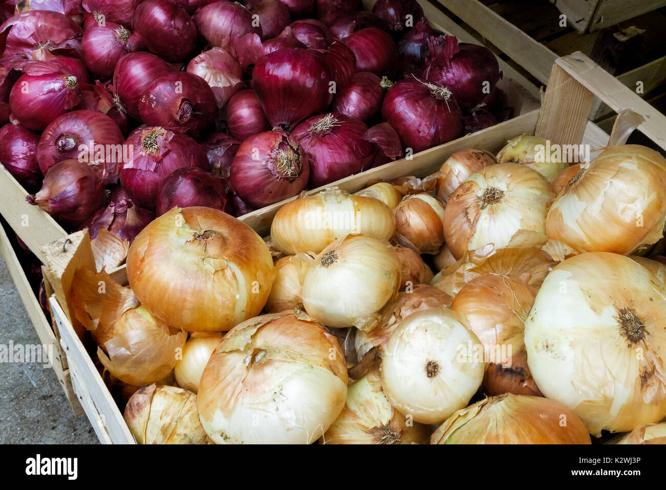 Wooden boxes with yellow and red onions at market Stock Photo - Alamy