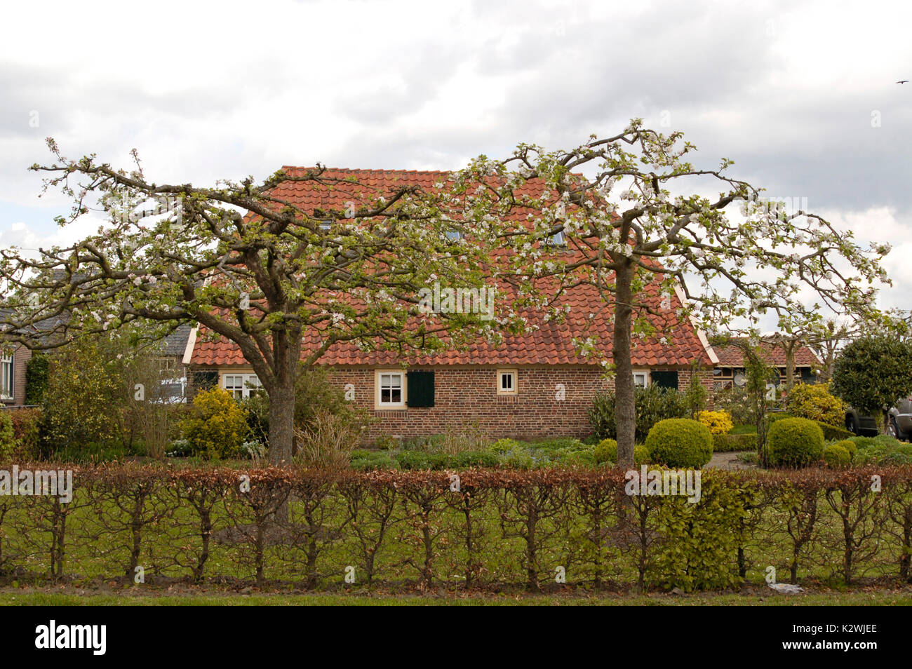 Typical dutch farmhouse hi-res stock photography and images - Alamy
