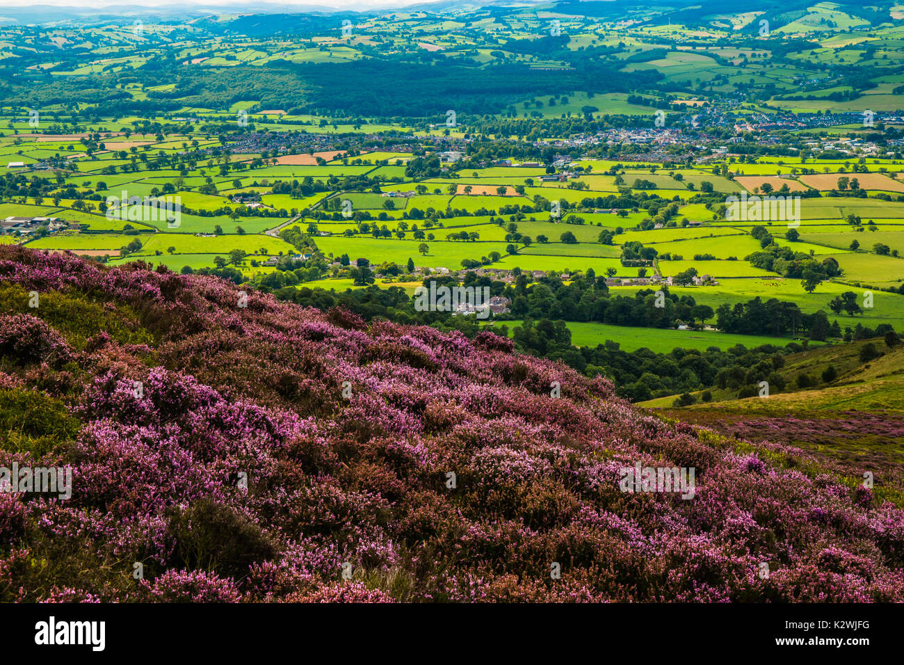 Moel famau view hi-res stock photography and images - Alamy