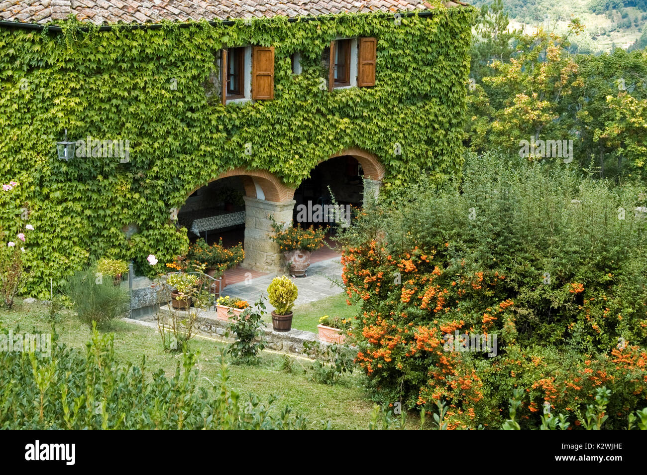 Ivies house hi-res stock photography and images - Alamy