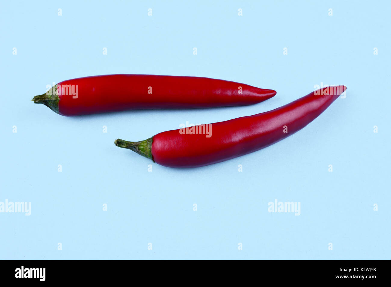 Red chilli papper on trendy blue background. Flat lay style. Colorful ...