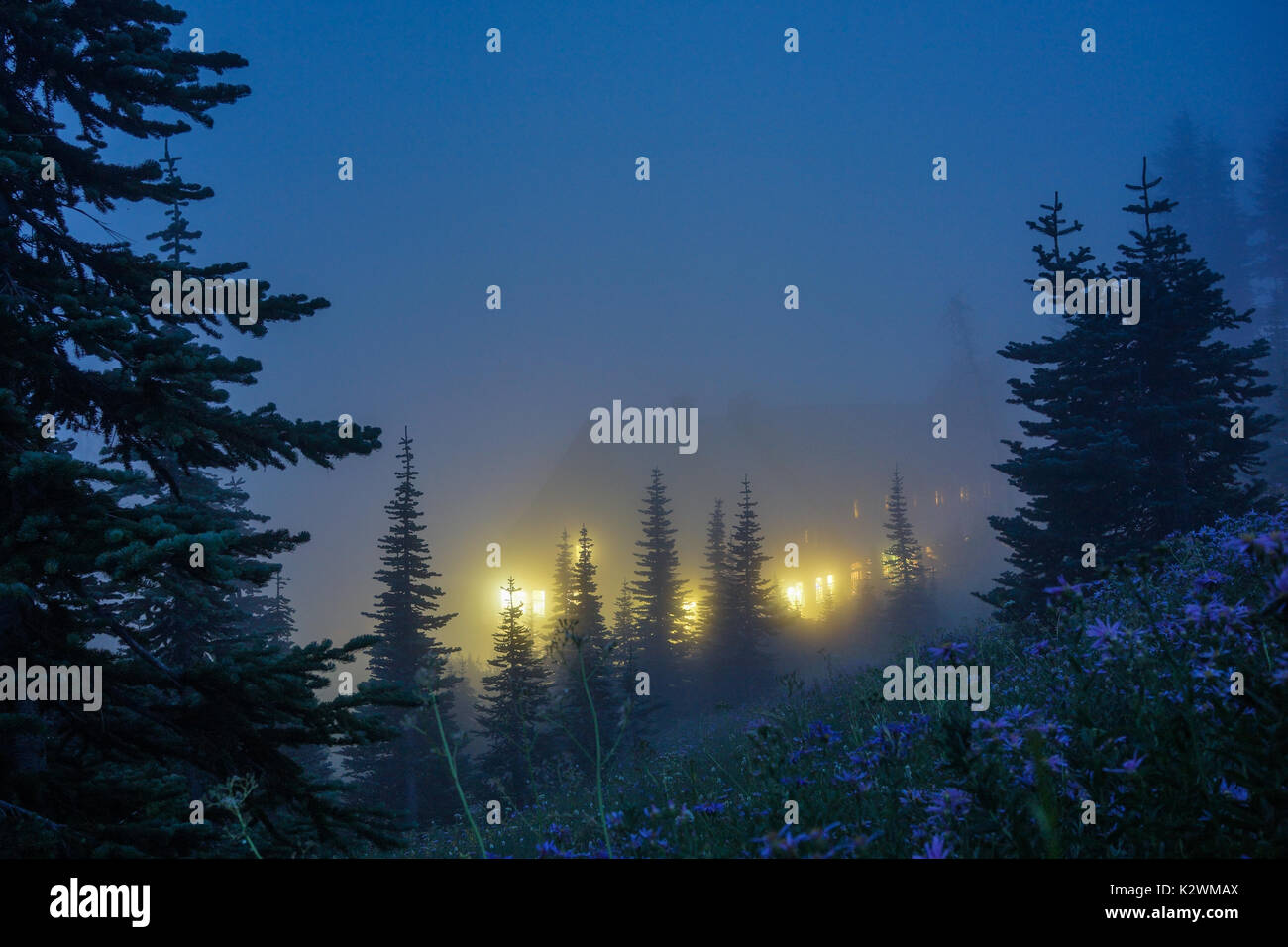 This is the picture of a hotel in foggy weather with trees and flowers ...