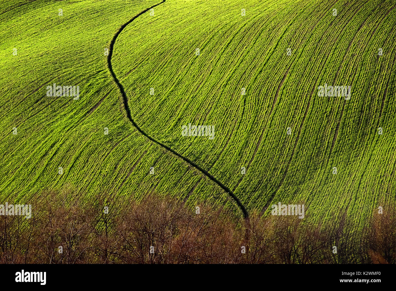 Tuscan like hills hi-res stock photography and images - Alamy