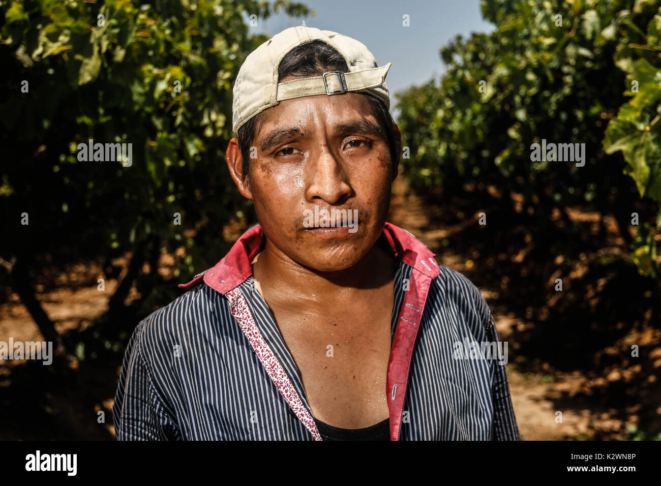 Every year between March to May hundreds of day laborers from various ...