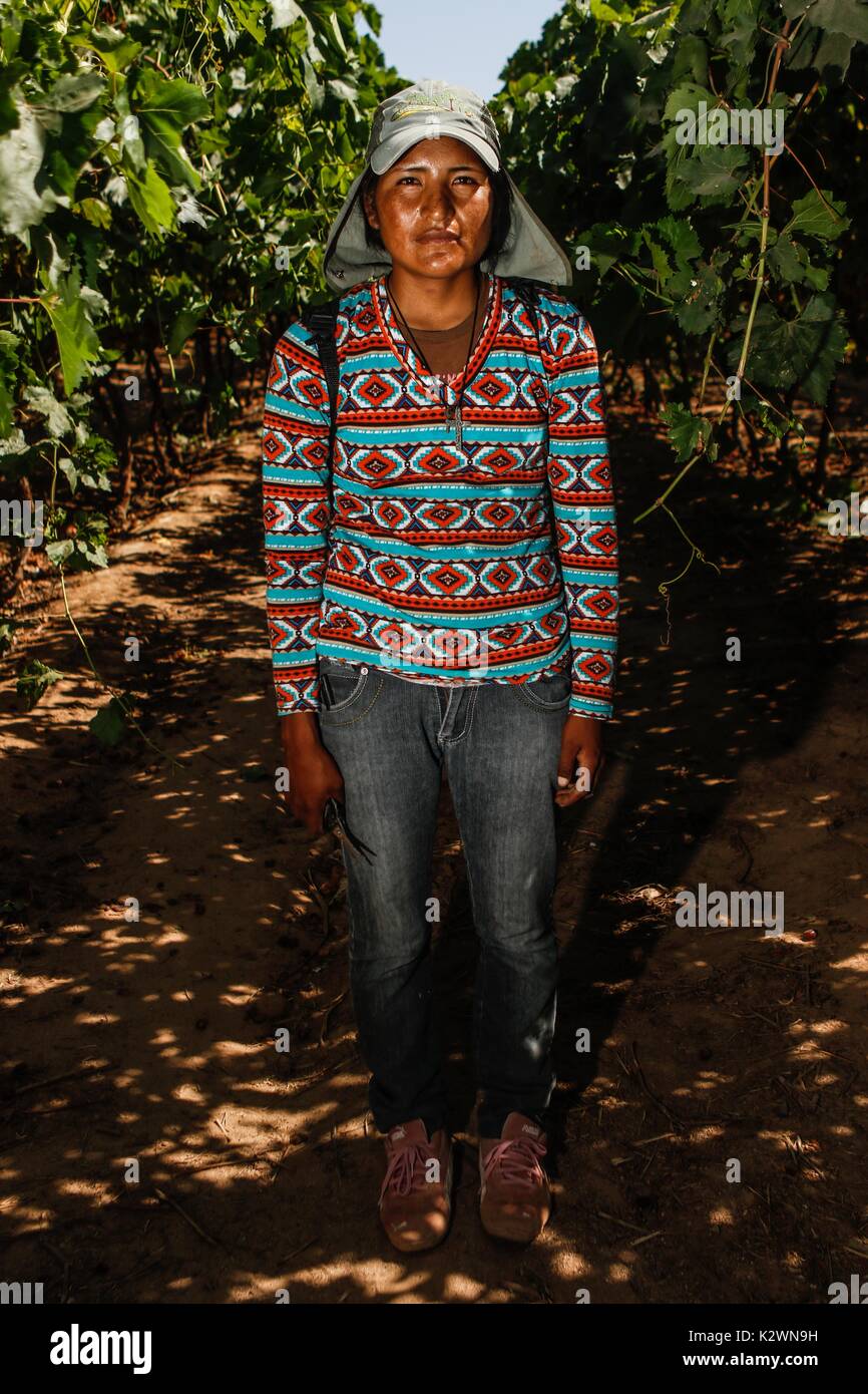 Every year between March to May hundreds of day laborers from various ...