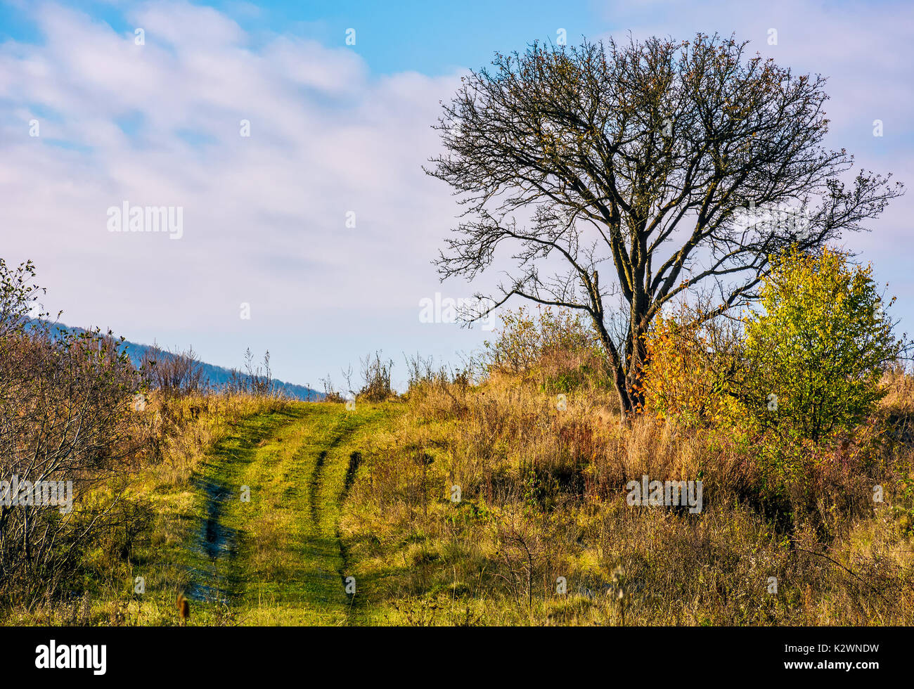 Autumn is beautiful hi-res stock photography and images - Alamy