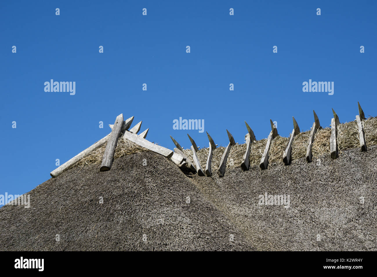 Straw roof texture building hi-res stock photography and images - Alamy