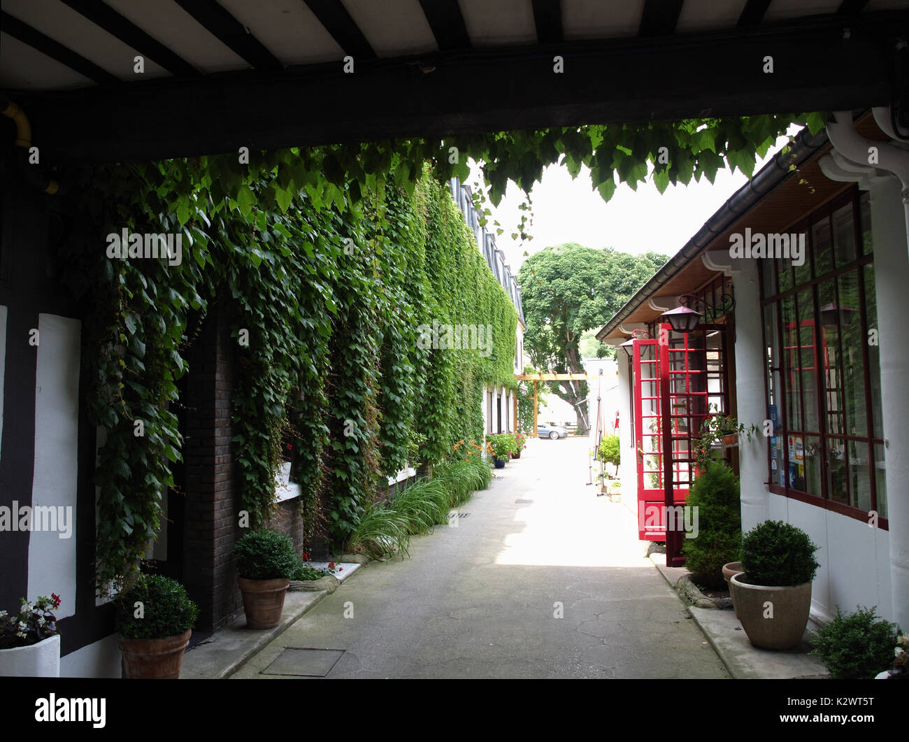Ivy clad rear courtyard of the Hotel de Normandie in Evreux, Upper ...