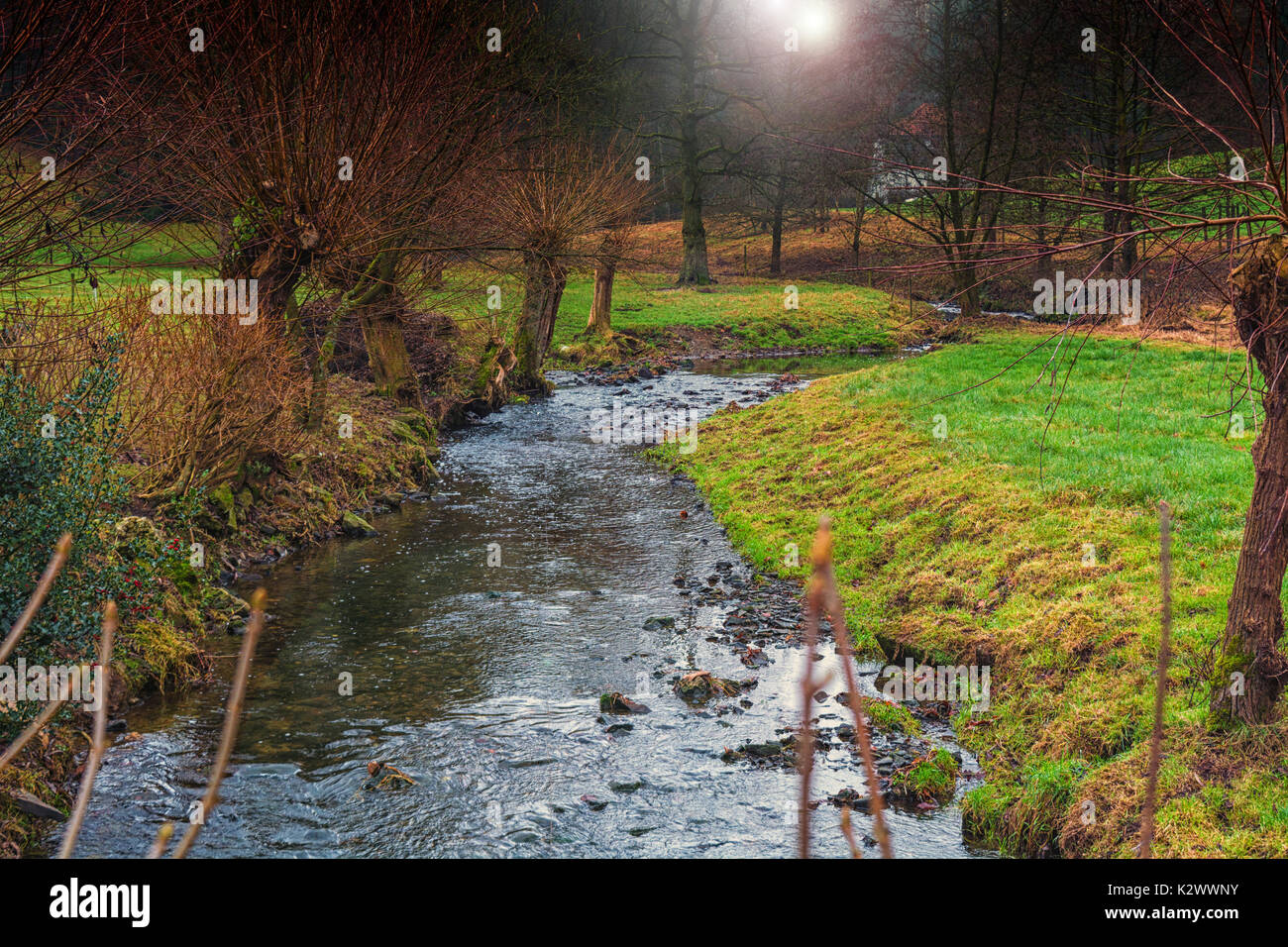 Riverine Flora Stock Photos & Riverine Flora Stock Images - Alamy