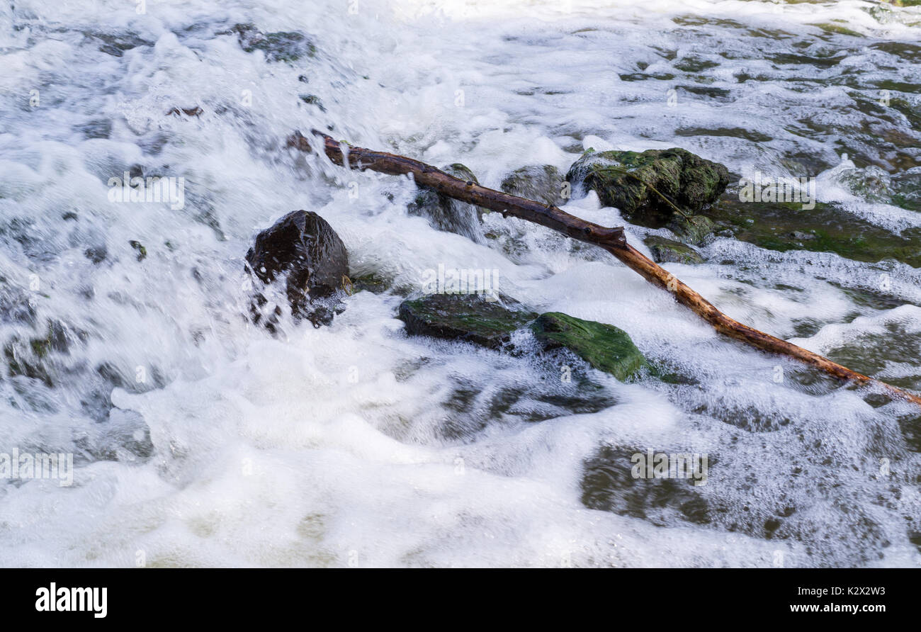 tree branch on rocks in stream, small waterfall. background, nature ...