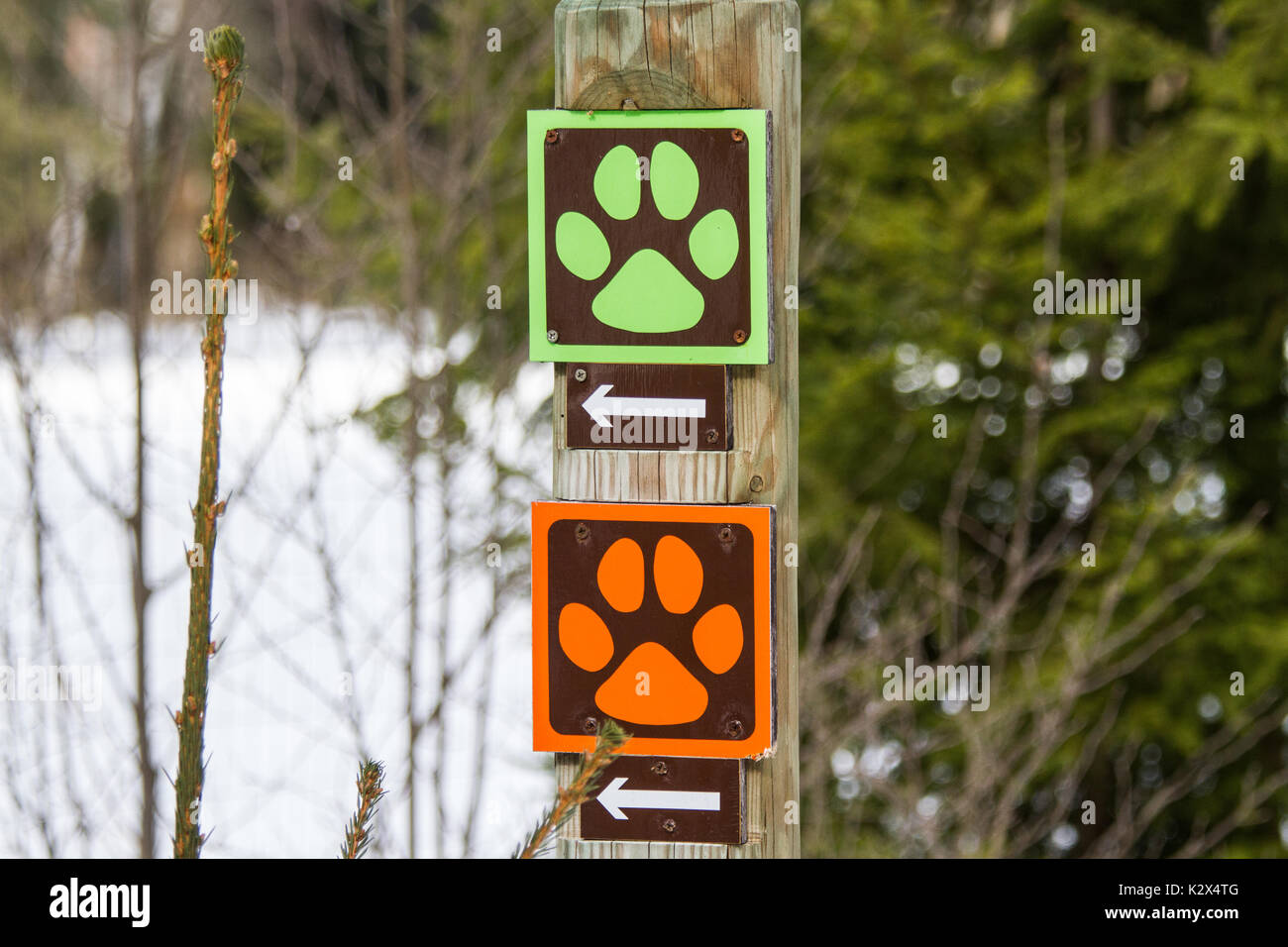 Colorful signs in a nature park at winter Stock Photo - Alamy