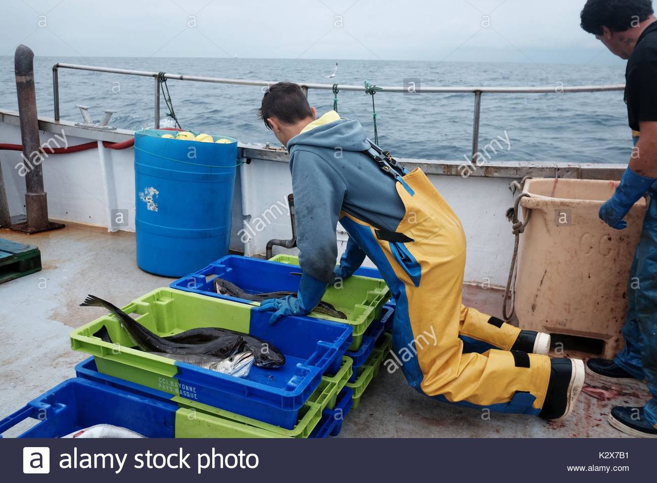 Triage Stock Photos & Triage Stock Images - Alamy