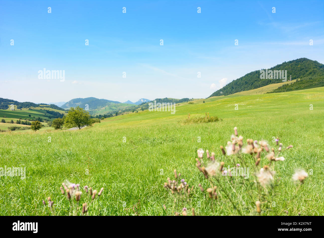 Pieniny national park pieninsky narodny park hi-res stock photography ...