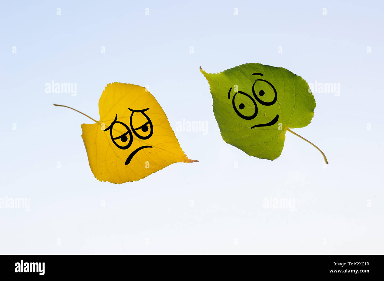 Green and yellow leaves with a picture of happy and sad faces on the ...