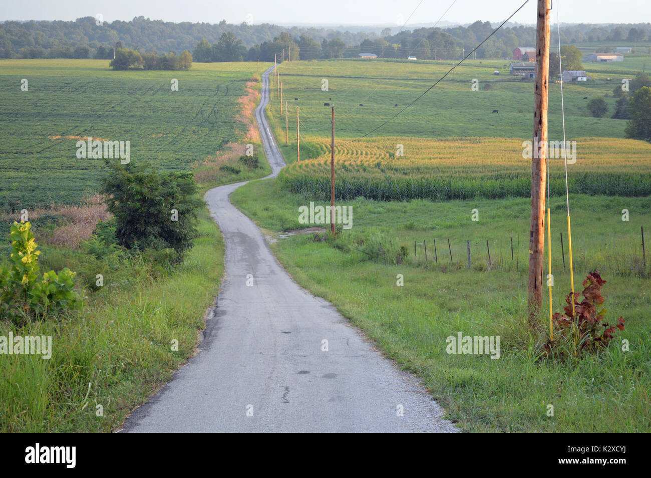 Long, narrow road winding over the hills in a rural setting. Taken in ...