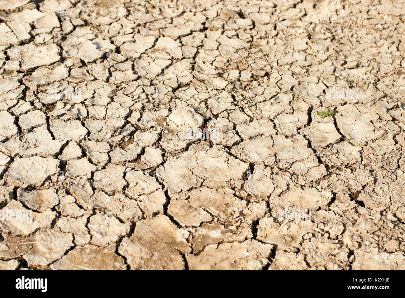 Cracked dry earth Stock Photo - Alamy