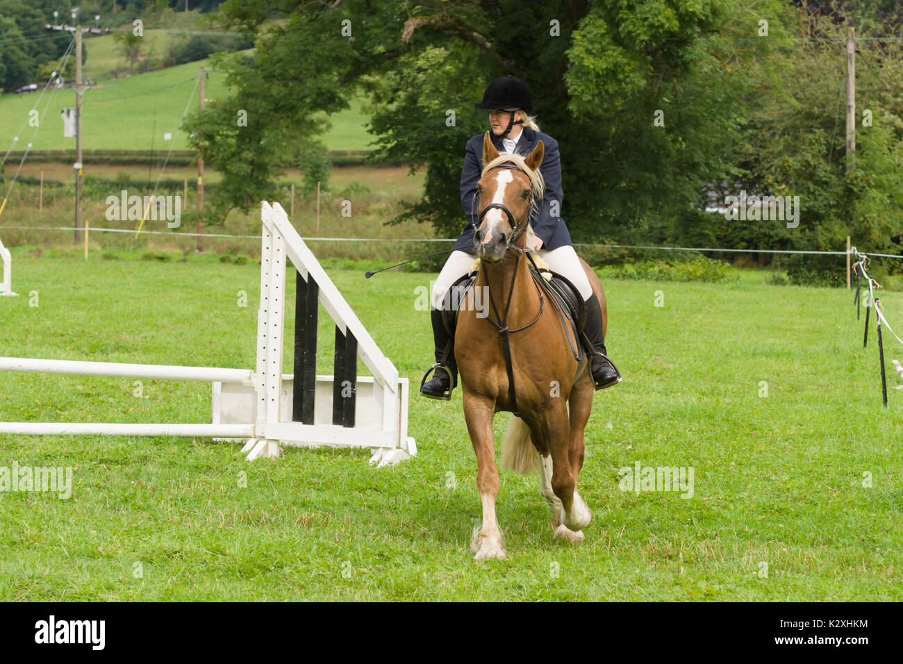 Young rider and her horse competing in the show jumping at the annual ...
