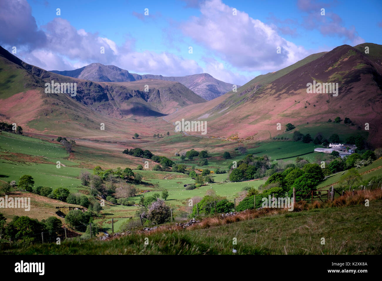 Views of Newlands valley from Ard Crags with Hindscarth and Robinson ...