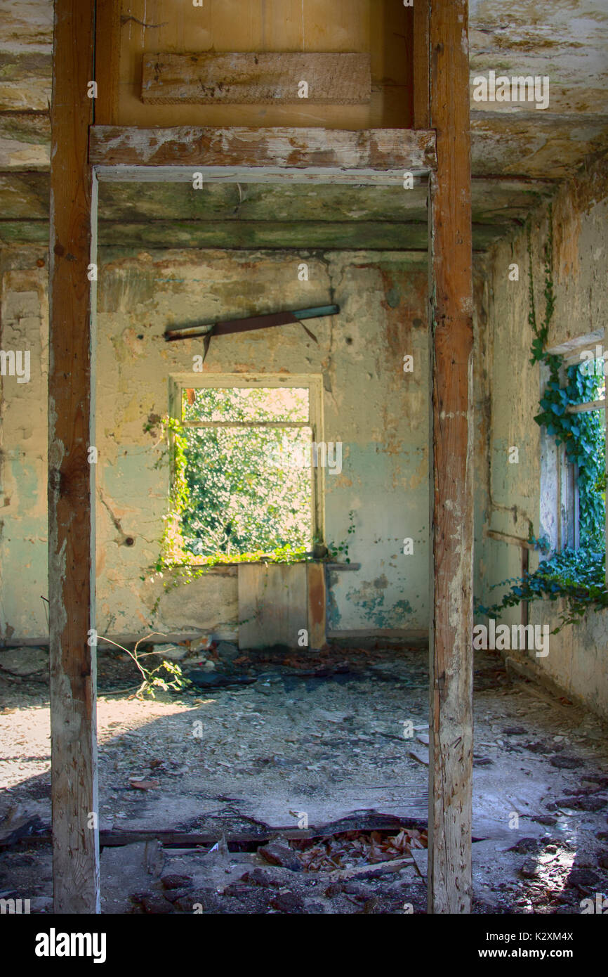 Ghost town captured wildlife plants home window climb Stock Photo - Alamy