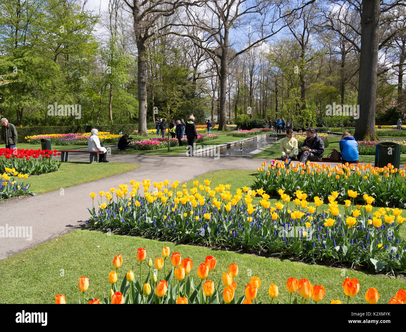 Tulips and spring bulbs in formal plantings at Keukenhof Gardens ...