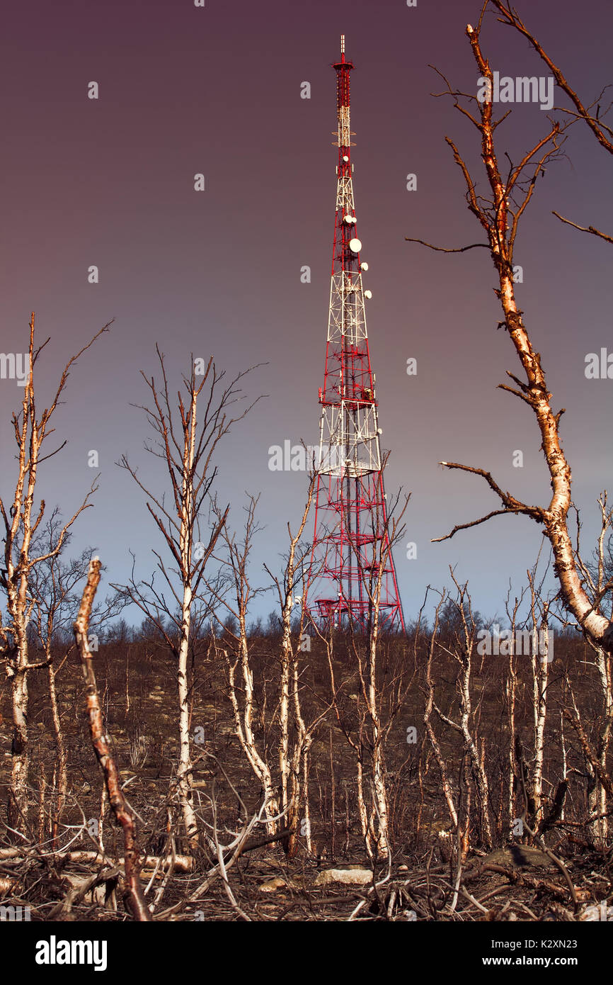 Conflict of technology and nature. Modern telecommunication tower and ...
