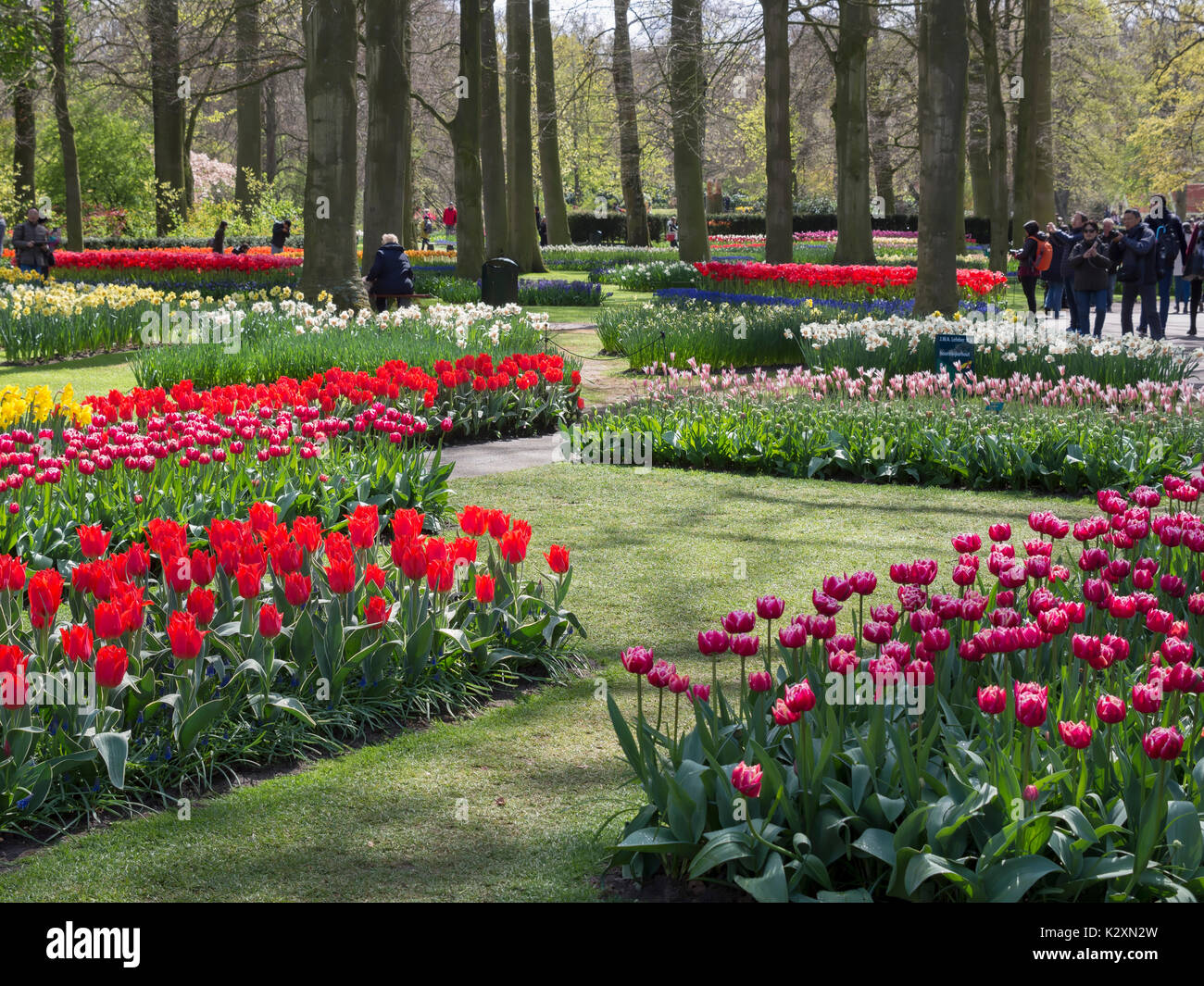 Spring bulbs at Keukenhof Gardens, Netherlands Stock Photo - Alamy