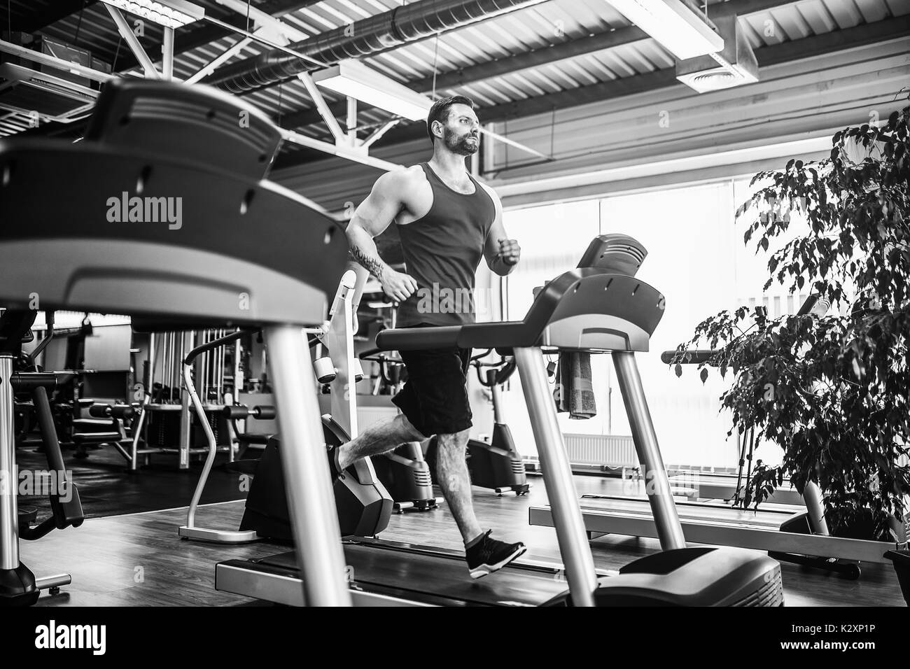 Muscle man running on treadmill Stock Photo - Alamy