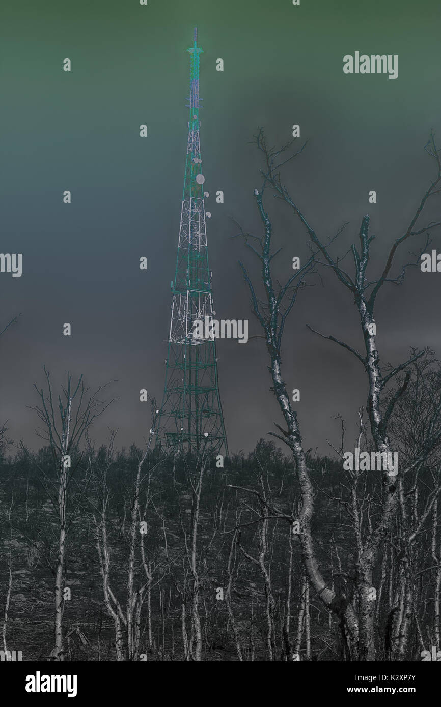 Conflict of technology and nature. Modern telecommunication tower and ...