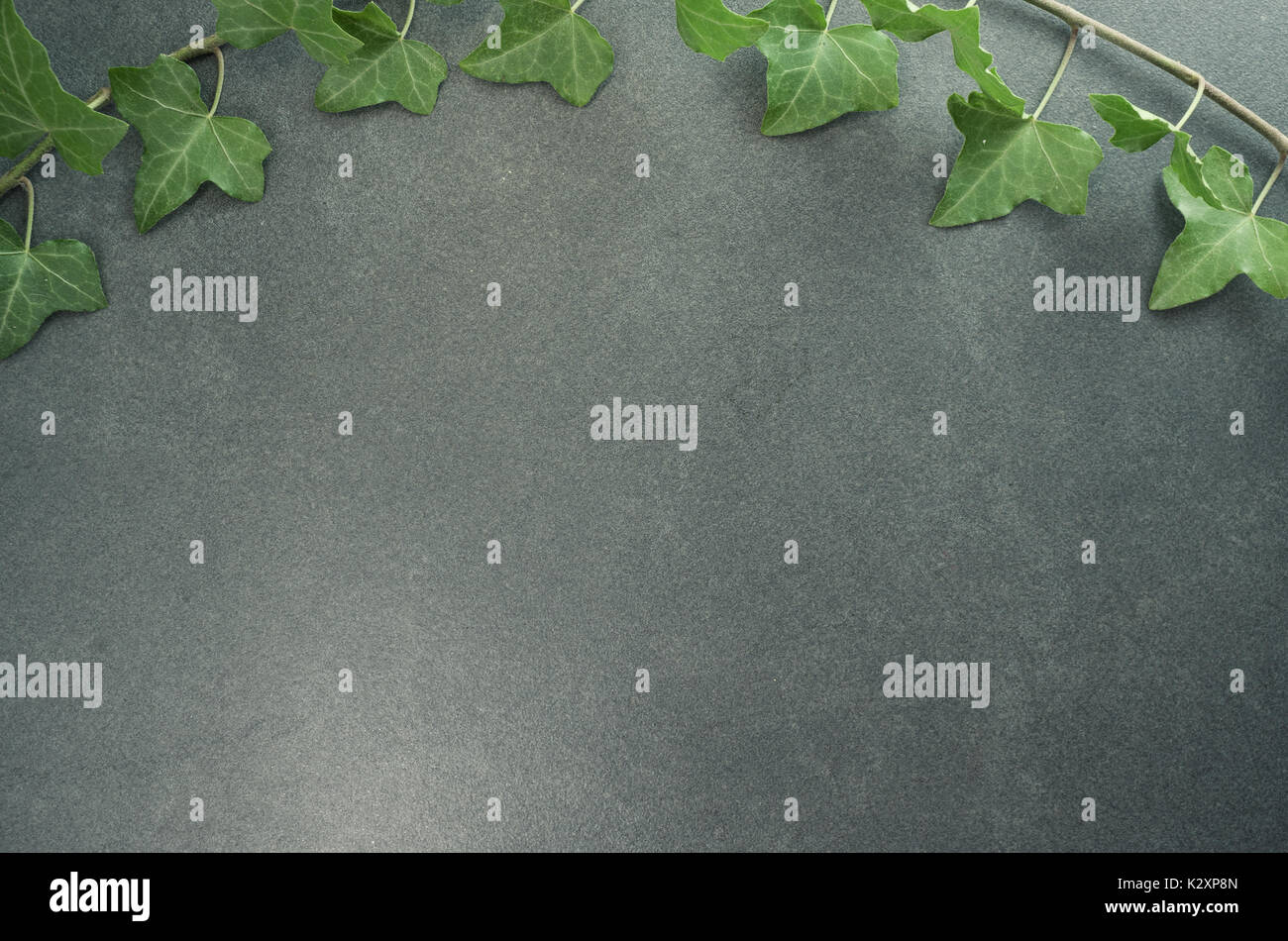 ivy twig ornamental still life - top view Stock Photo - Alamy