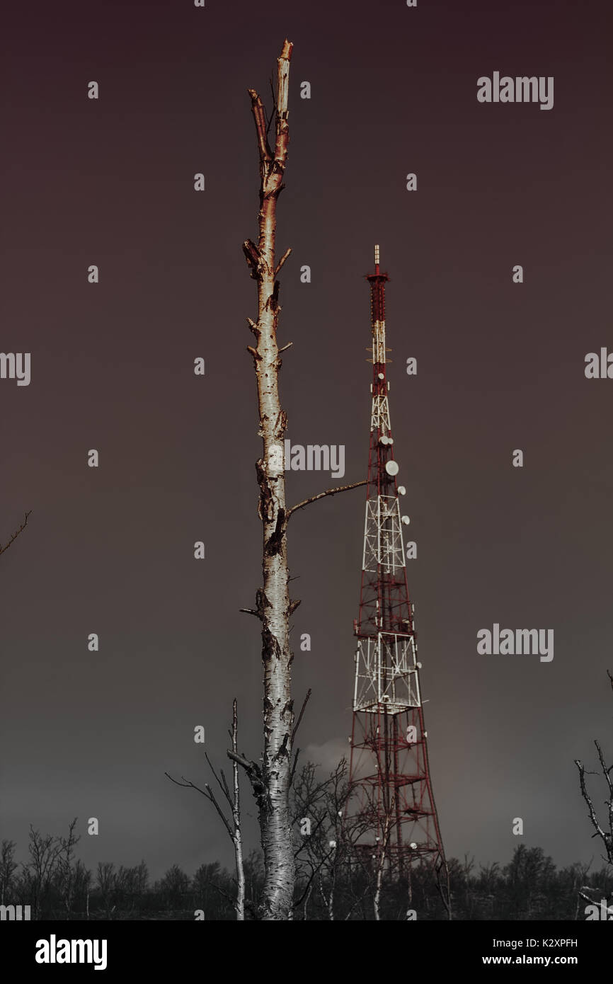 Conflict of technology and nature. Modern telecommunication tower and ...