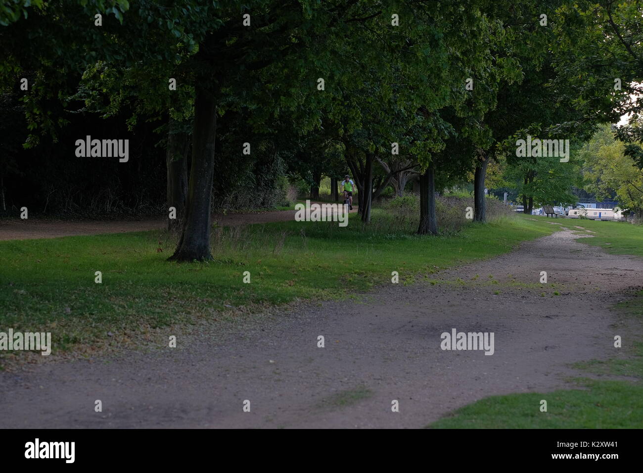 tow path the thames Stock Photo - Alamy