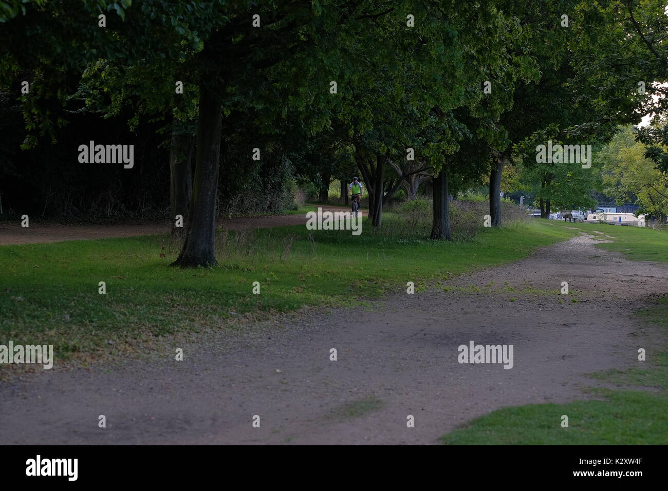 tow path the thames Stock Photo - Alamy