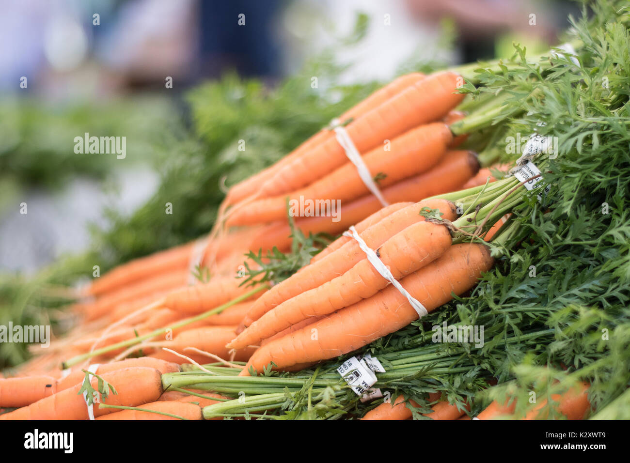Organic locally grown carrots piled high at a California Farmer's ...