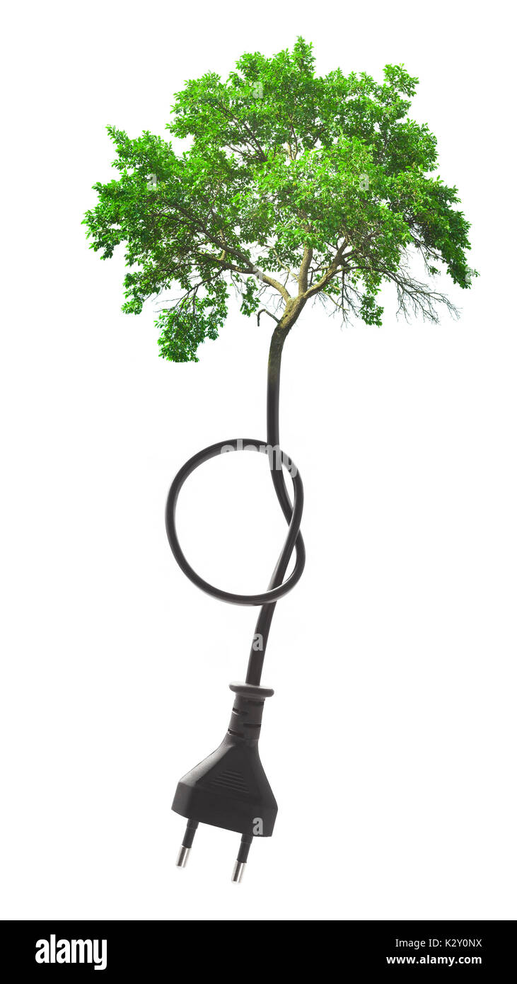 green tree and plug in wire concept isolated on white Stock Photo - Alamy