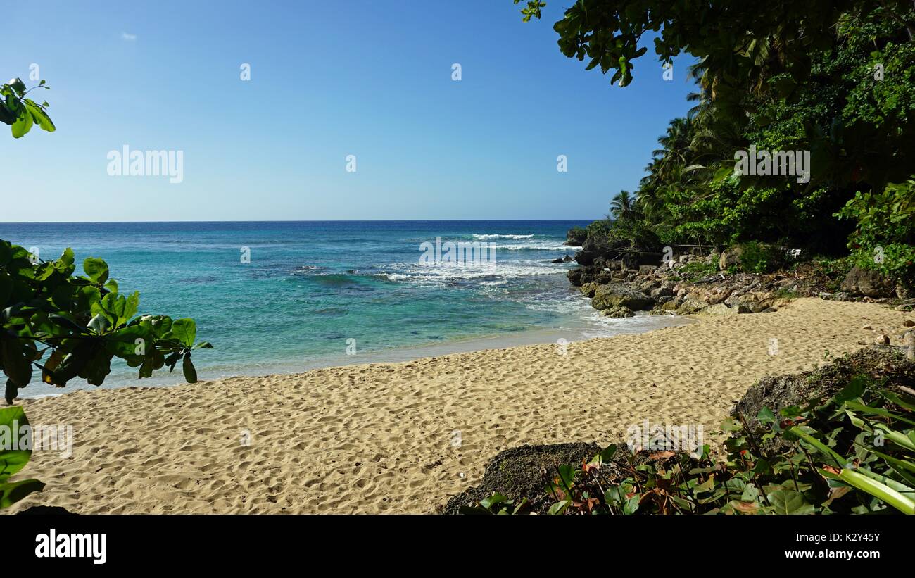 caribbean playa grande beach ion the dominican republic Stock Photo - Alamy