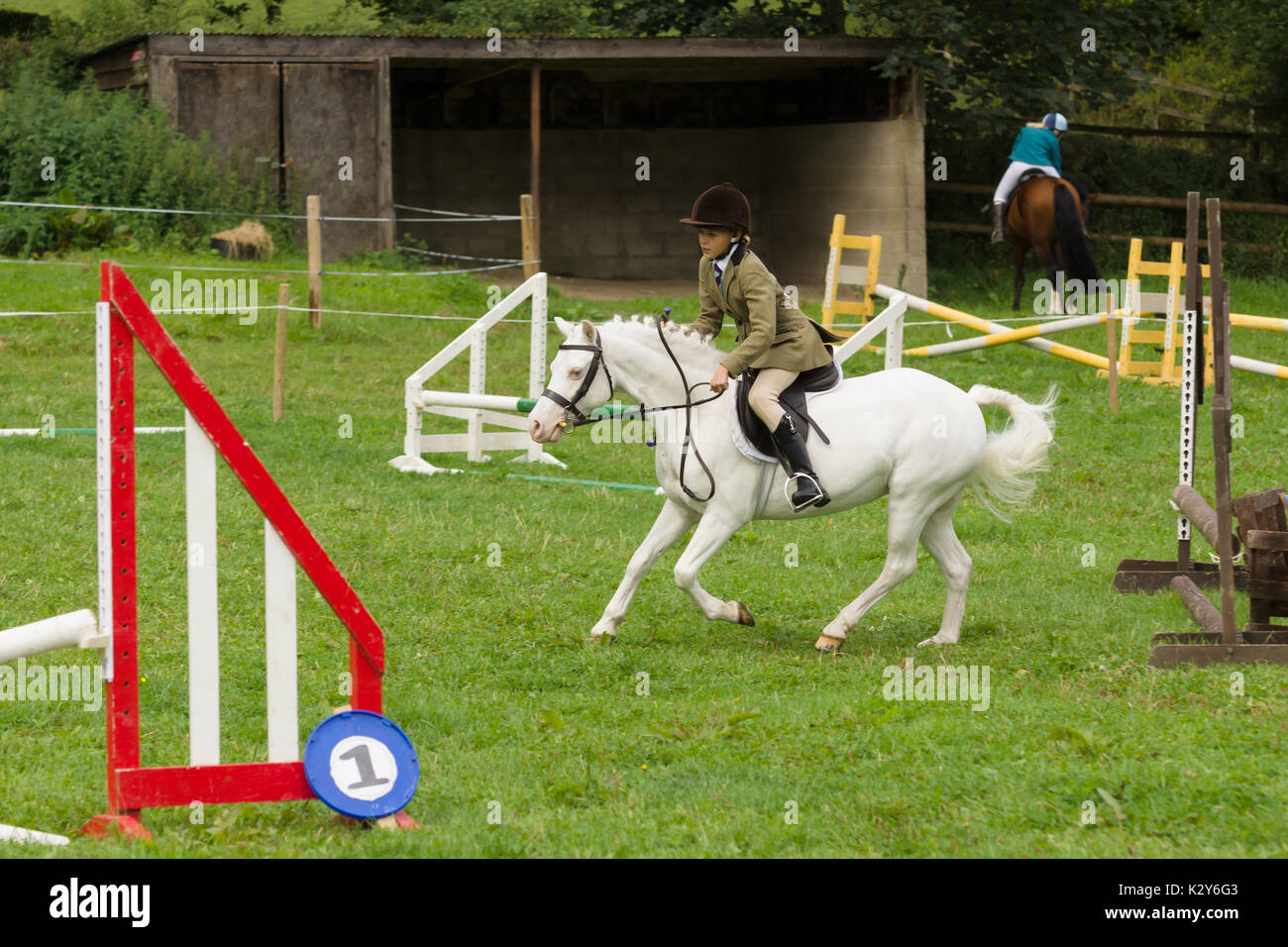 Young rider and her pony competing in the show jumping at the annual ...